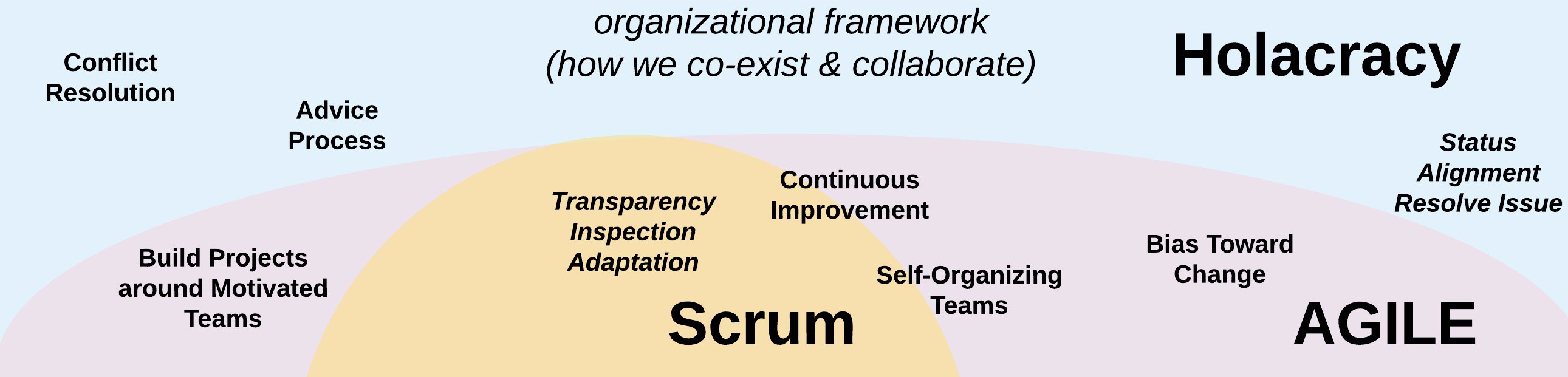 Holacracy: Post-Hierarchical Organization with Empirical Process ... Holacracy: Post-Hierarchical Organization with Empirical Process ...